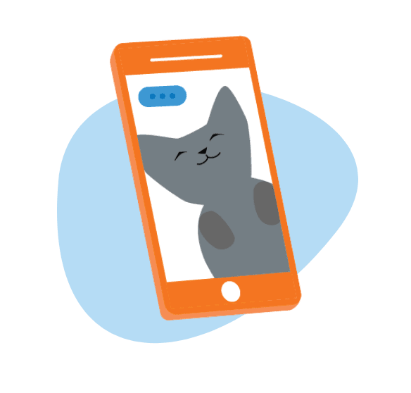 Catbuddy | Cat Sitters, Cat Lovers!